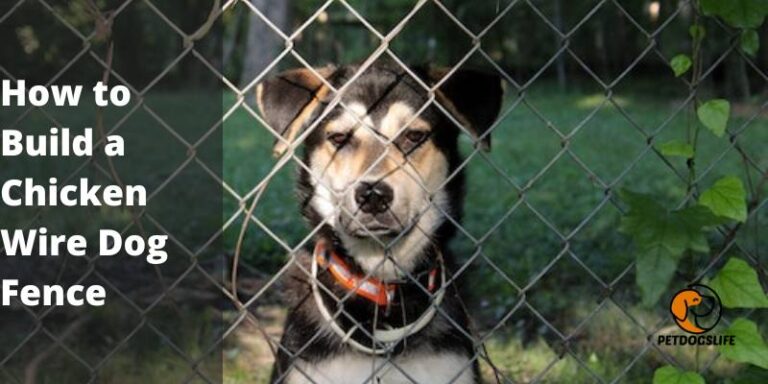 How to Build a Chicken Wire Dog Fence? 7 Easy Step by Step Guide | Pet ...